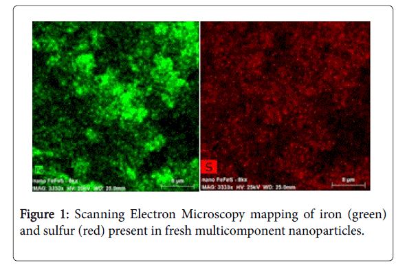 Optimized Synthesis of Multicomponent Nanoparticles for Removing
