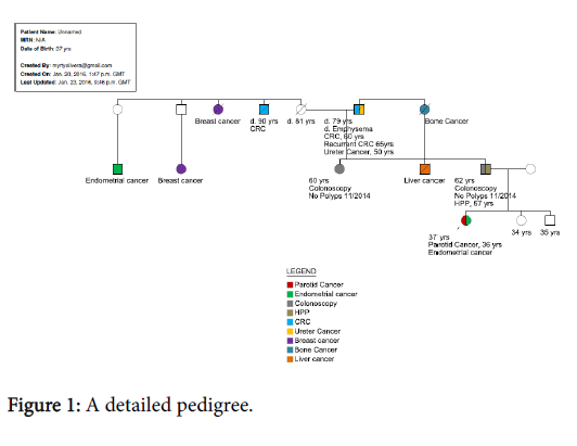 Report of a PMS2 Germline Mutation Patient Presenting with Endome