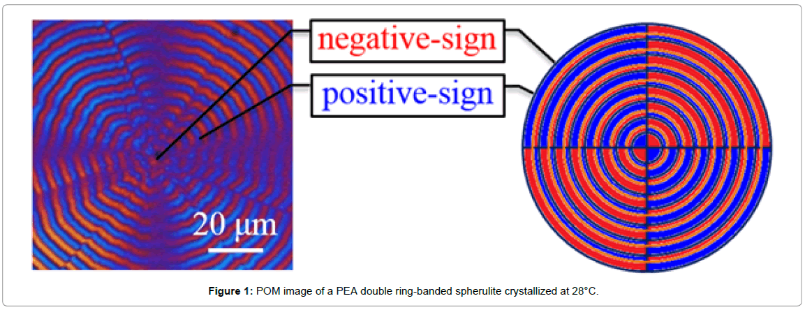 Banded Crystalline Spherulites in Polymers and Organic Compounds ...