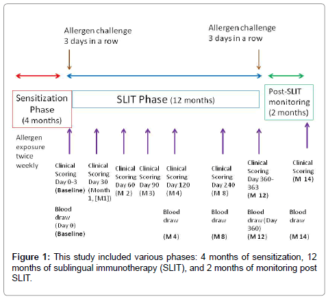 Clinical and Immunologic Effects of Allergen-Specific Sublingual ...