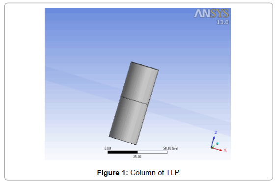 Design and Analysis of a Tension Leg Platforms Column for Arabian Sea