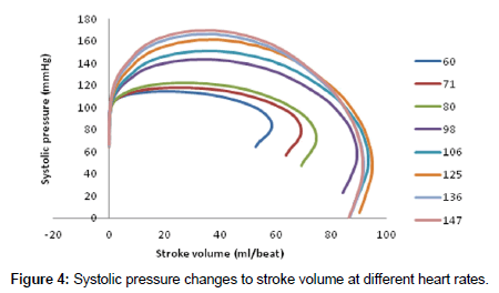 Applied Fluid-Structure Interaction Technique to Initial Insight into ...
