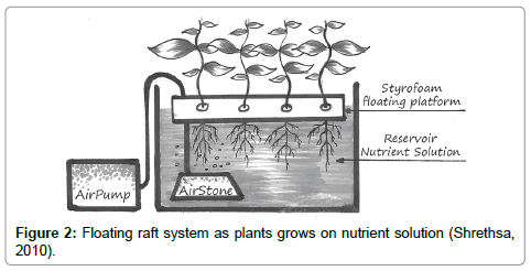 Food Sovereignty for Food Security, Aquaponics System as a Potential ...