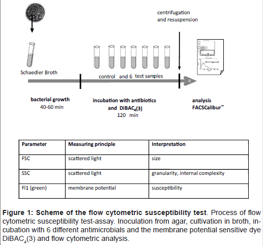 Detection, Identification and Susceptibility Testing of Bacteria by ...