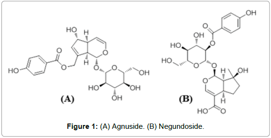 Protective Effect of a Standardized Fraction from Vitex negundo L