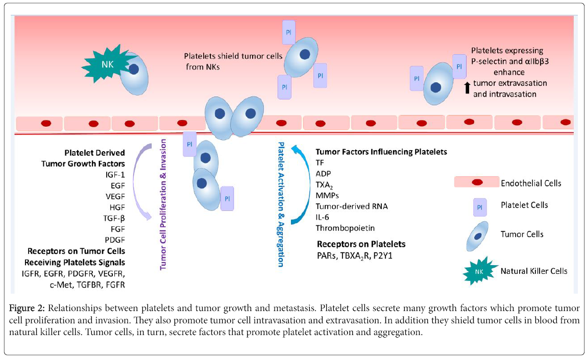 Platelets, Microenvironment and Hepatocellular Carcinoma