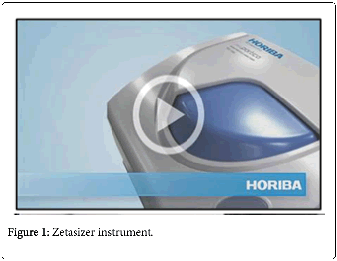 Zetasizer Technique in Biochemistry