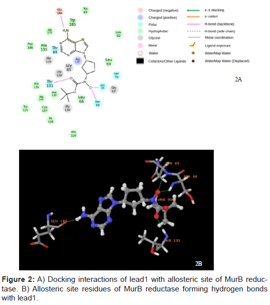 Docking and Molecular Dynamic Simulations of Legionella pneumophila ...