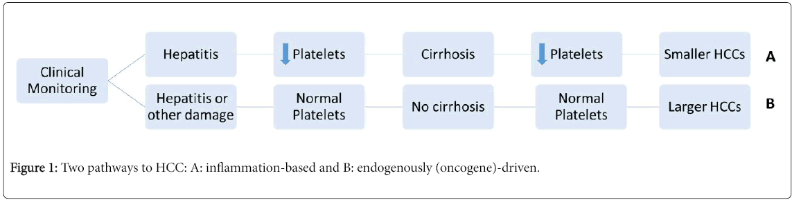 Platelets, Microenvironment and Hepatocellular Carcinoma