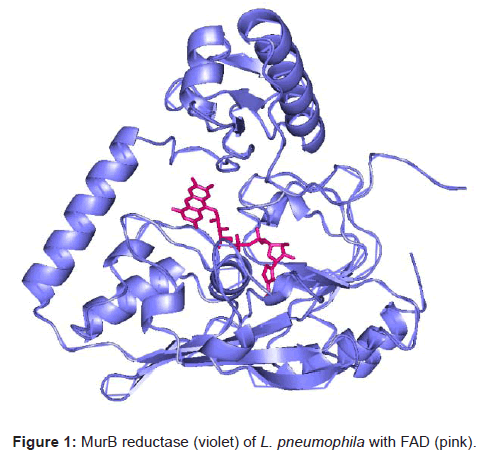 Docking and Molecular Dynamic Simulations of Legionella pneumophila ...