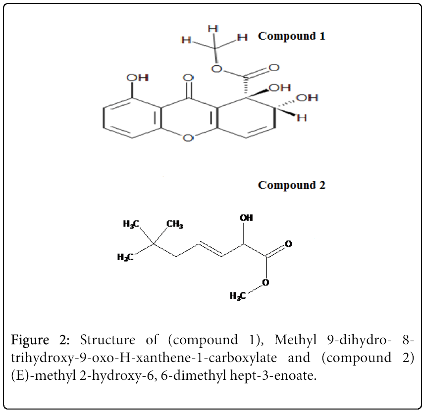 Anticancer Compounds from Chaetomium globosum