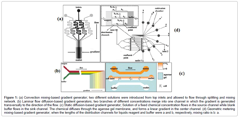 Microfluidic Platforms for Gradient Generation and its Applicatio