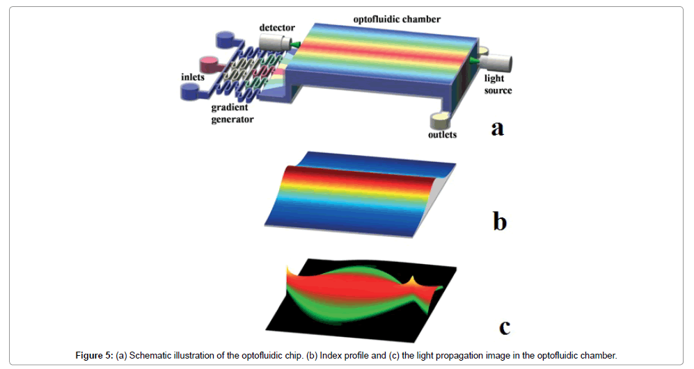 Microfluidic Platforms for Gradient Generation and its Applicatio