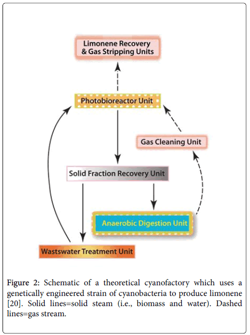 Outlook on the Potential of Cyanobacteria to Photosynthetically Produce ...