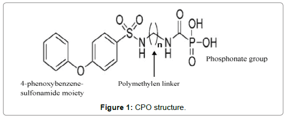 Investigation of Intestinal Absorption Enhancers: Individual vs.