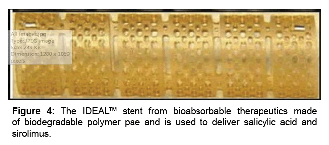 A Review on Biodegradable and Bioabsorbable Stents for Coronary A