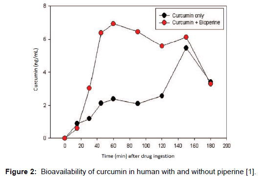 Novel Drug Delivery Systems to Improve Bioavailability of Curcumin