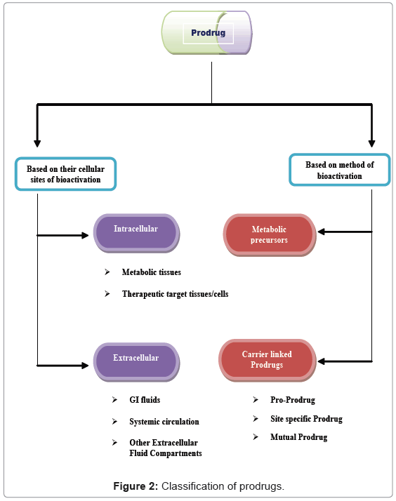 Cutting Edge Approach on Prodrug: Contrivance for Target Drug Del
