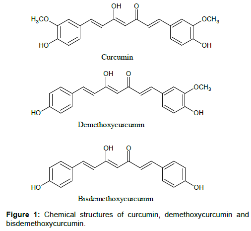 Novel Drug Delivery Systems to Improve Bioavailability of Curcumin