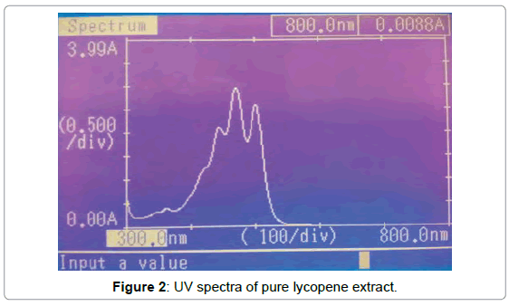 Novel Encapsulation of Lycopene in Niosomes and Assessment of its