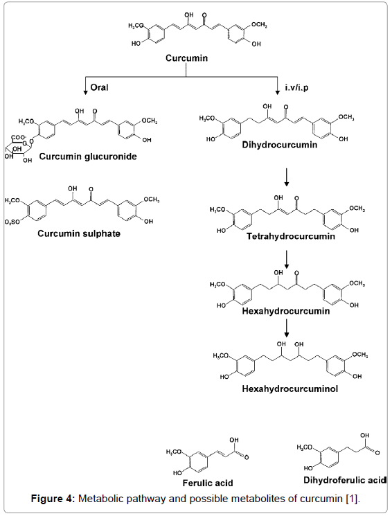 Novel Drug Delivery Systems to Improve Bioavailability of Curcumin