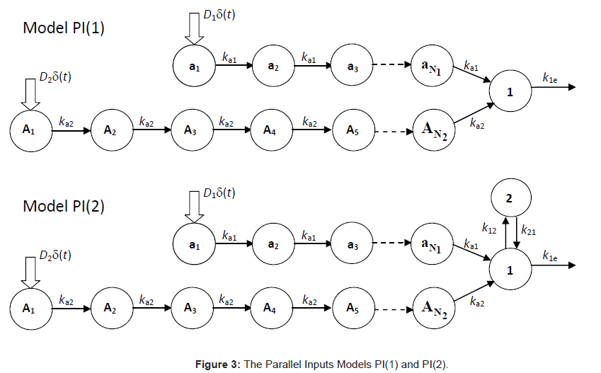 Modelling the Double Peak Phenomenon