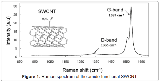 Single-Walled-Carbon-Nanotube-Based Field-Effect Transistors with