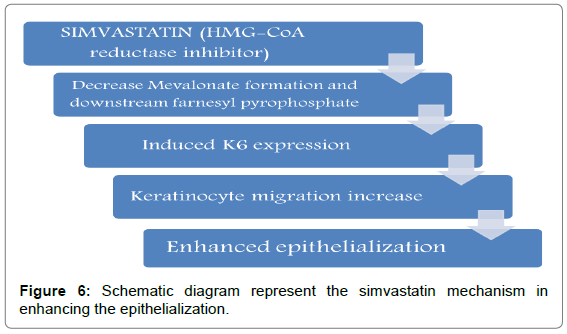 Prospective Role of Simvastatin on Wound Healing: Review of the Literature