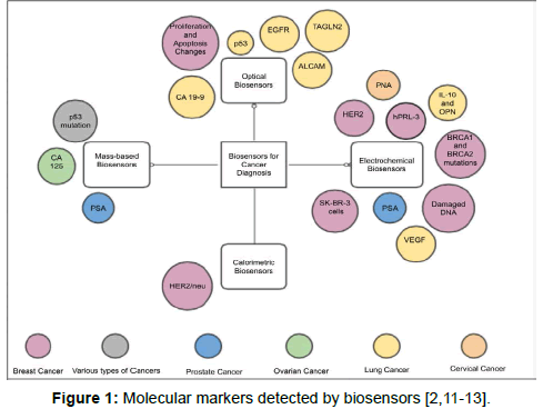 Detection of Molecular Markers of Cancer Through the Use of Biose
