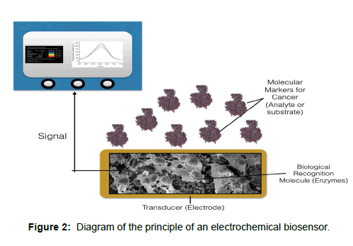 Detection of Molecular Markers of Cancer Through the Use of Biose