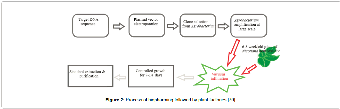 Vaccination and Biopharming Technology