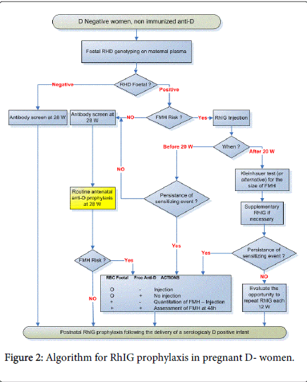 Anti-D Prophylaxis Reviewed in the Erea of Foetal RHD Genotyping