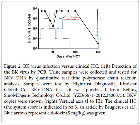 Recovery from Cidofovir-Resistent BK Virus-Associated Hemmorhagic