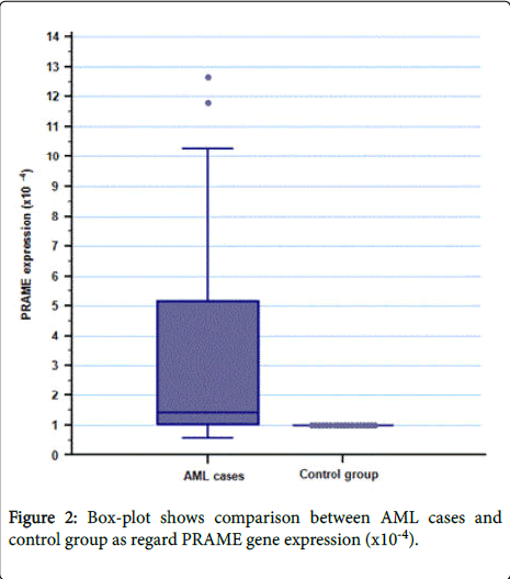 Clinical Importance of PRAME Gene Expression in Acute Myeloid Leukemia