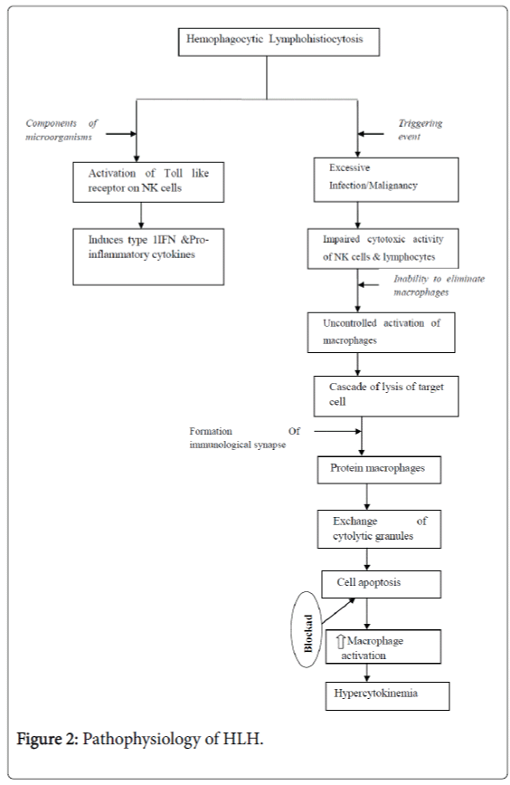 Hemophagocytic Lymphohistiocytosis: A Review