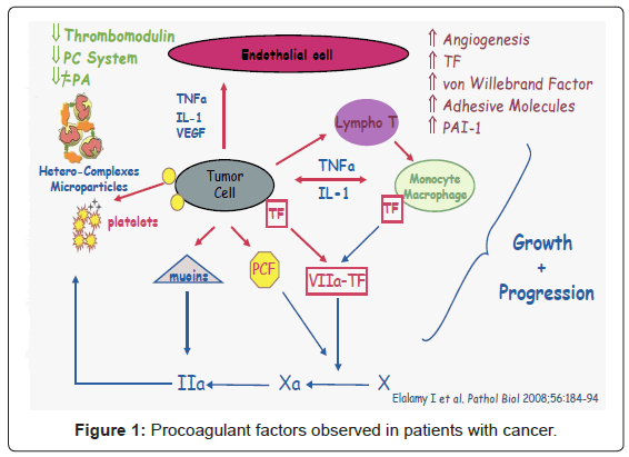 Thrombo-Embolic Events in Cancer Patients with Impaired Renal Fun