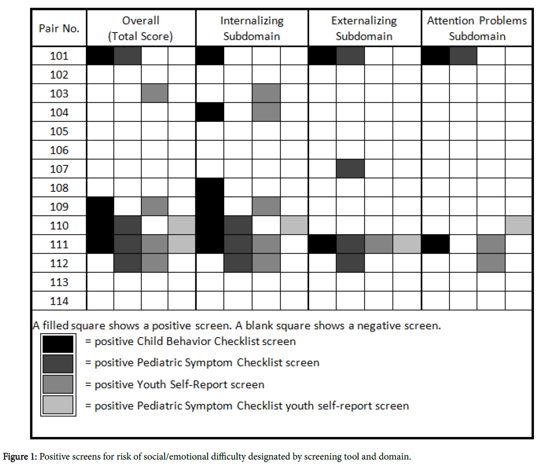 Identifying Risk for Social/Emotional Difficulty in Adolescents w