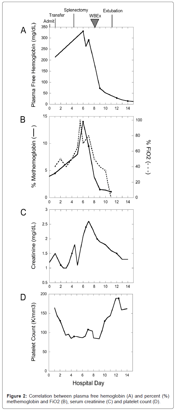 Life-Threatening Autoimmune Hemolytic Anemia Treated with Manual