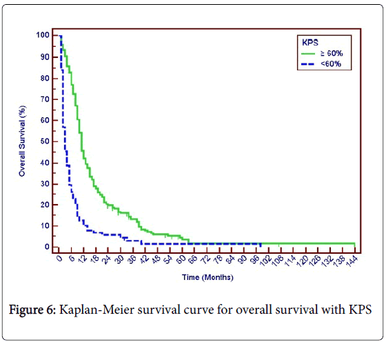 Outcome of High Grade Gliomas in Limited Resource Country (10 Years ...