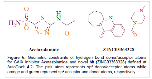Receptor Chemoprint Derived Pharmacophore Model for Development of CAIX ...