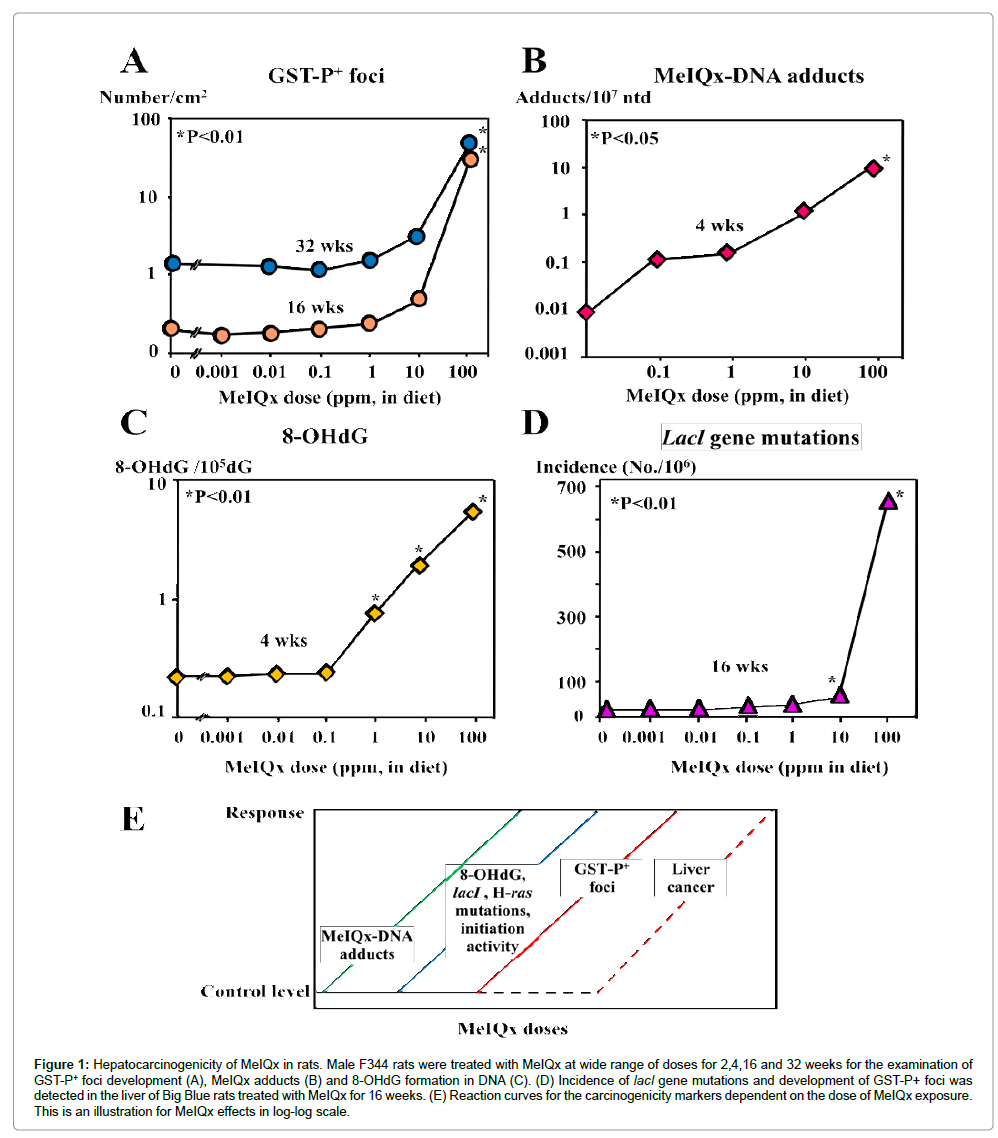 Threshold in Carcinogenicity of Genotoxic Carcinogens