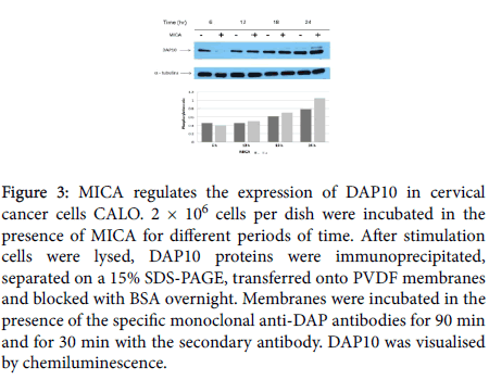 MICA Regulates the Expression of DAP10 and Signals through an ...
