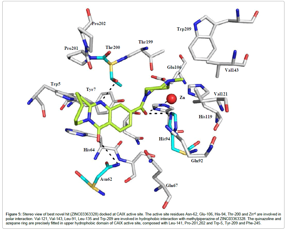 Receptor Chemoprint Derived Pharmacophore Model for Development of CAIX ...