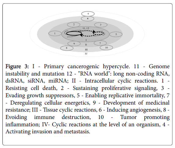 Hallmarks of Cancer: Interpretation as Carcinogenic Hypercycle