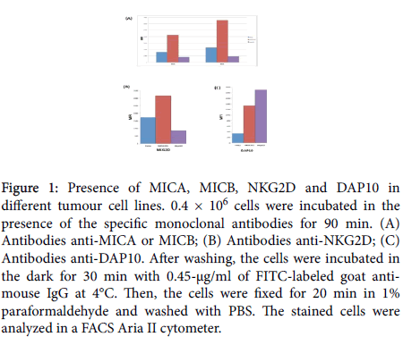 MICA Regulates the Expression of DAP10 and Signals through an ...