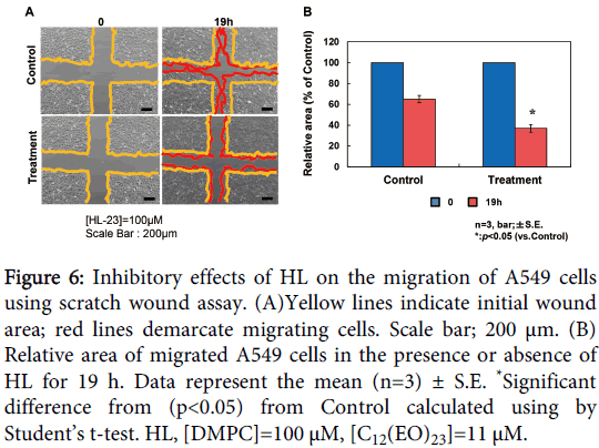 Inhibitory Effects of Hybrid Liposomes on the Growth of Non-small