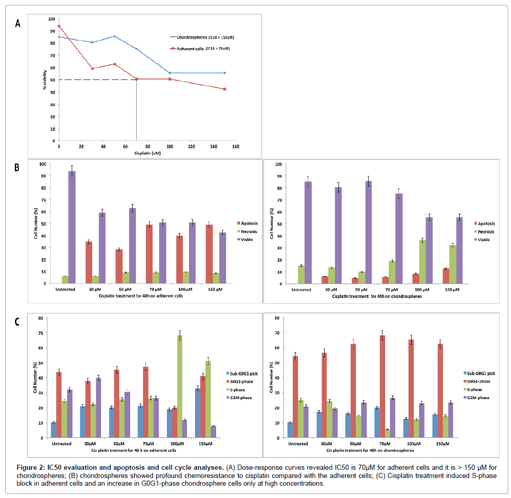 Molecular Profiling of Human Primary Chondrosarcoma-Derived Spheres ...
