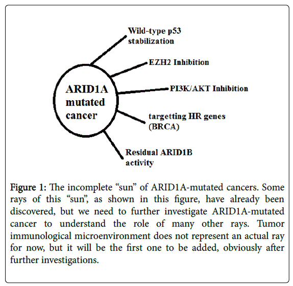 Tumor Suppressor Gene ARID1A in Cancer: Recent Advances and Futur