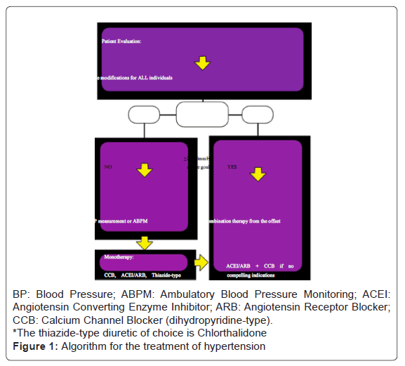 Management of the Spectrum of Essential Hypertension: A 2013 Pers