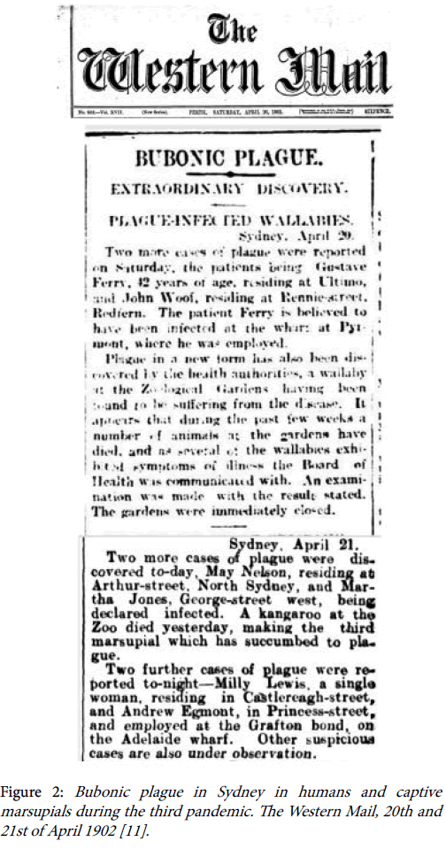 Plague: Antique and Medieval Emerging Infectious Disease